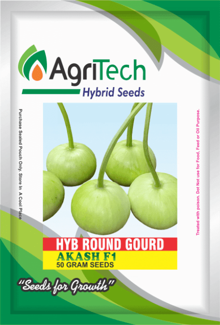 Akash F1 Hybrid Round Gourd(kaddu)-Agritech - Green Gold Agri Seeds(Pvt)Ltd