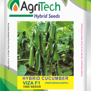Queen F1 Hybrid Sweet Pepper Packet-Agritech - Green Gold Agri Seeds ...