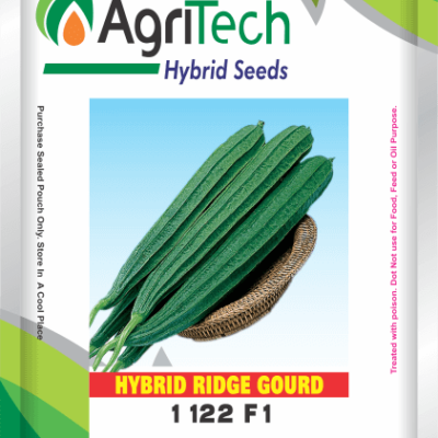Ravi F1 Hybrid Sponge gourd-Agritech - Green Gold Agri Seeds(Pvt)Ltd