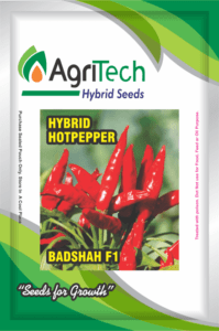 Vegetable Seeds - Green Gold Agri Seeds(Pvt)Ltd
