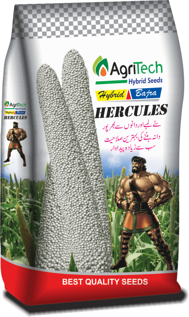 Bajra Hercules F1 Agri Tech - Green Gold Agri Seeds(Pvt)Ltd