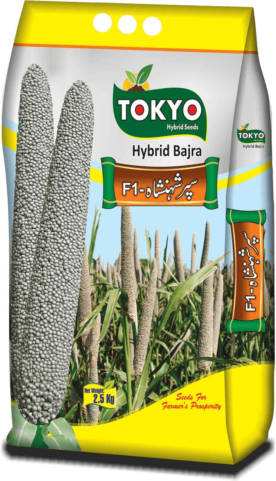 Green Gold Agri Seeds(Pvt)Ltd - Pakistan best seed company