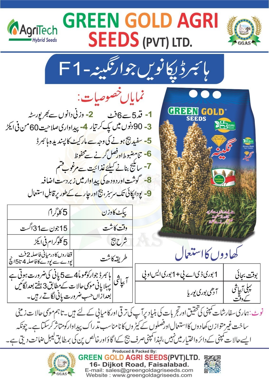 Nagina F1 Grain Sorghum - Green Gold Agri Seeds(Pvt)Ltd