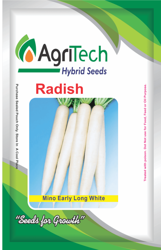 Radish Mino Early Long White AgriTech - Green Gold Agri Seeds(Pvt)Ltd