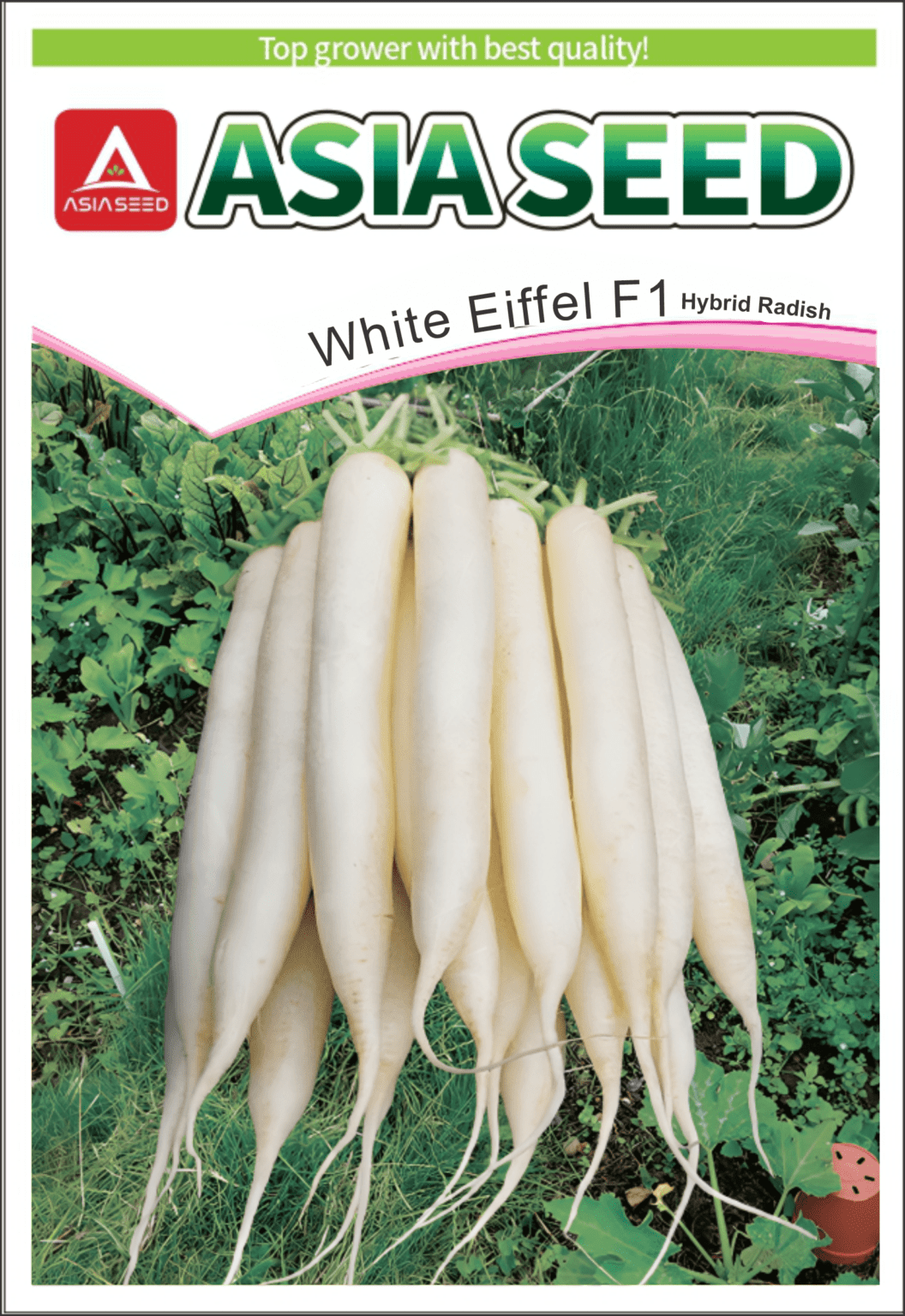 Radish Hybrid Seed White Eiffel F1 Asia Seed - Green Gold Agri Seeds ...