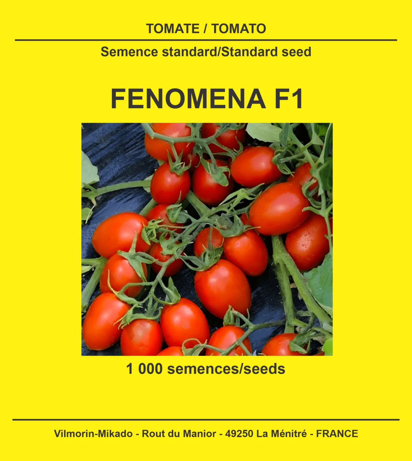 Tomato - Green Gold Agri Seeds(Pvt)Ltd