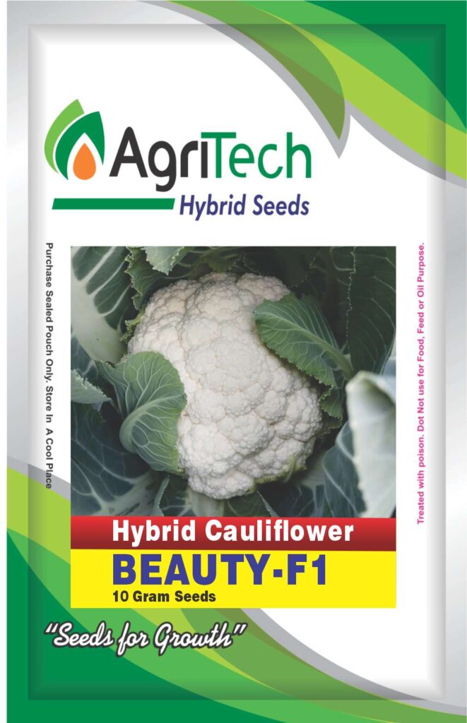Vegetable Seeds - Green Gold Agri Seeds(Pvt)Ltd