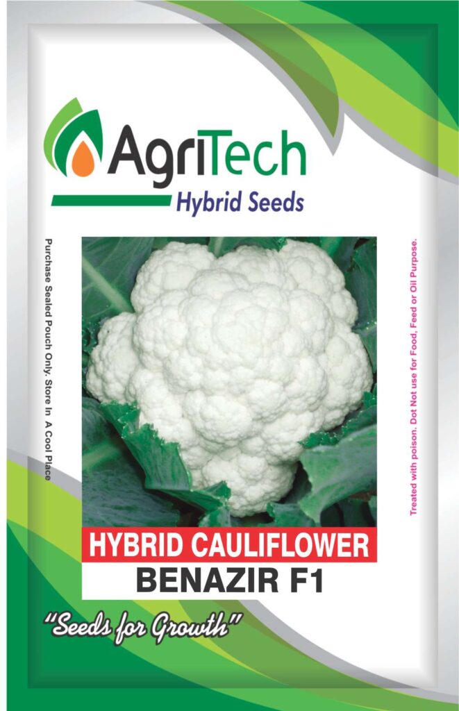 Vegetable Seeds - Green Gold Agri Seeds(Pvt)Ltd