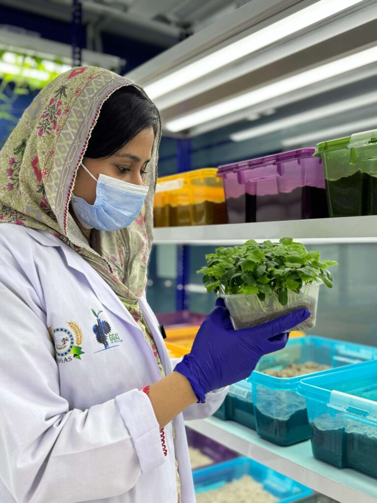 Seed Test With Control Standard Package - Green Gold Agri Seeds(Pvt)Ltd