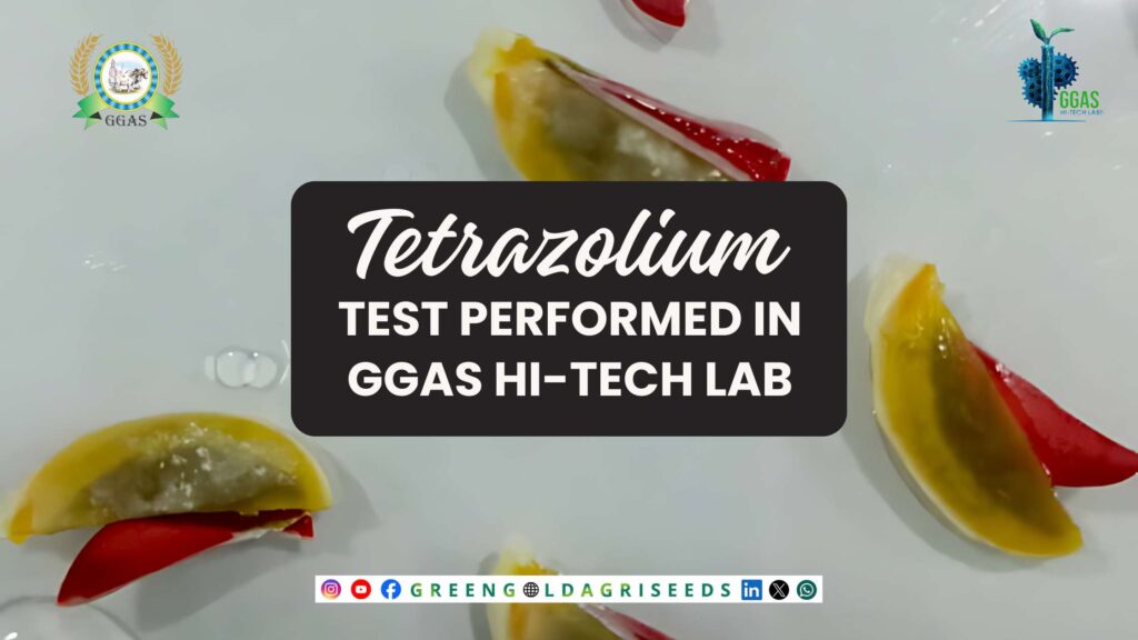 Tetrazolium Test Performed in GGAS HI-Tech Lab - Green Gold Agri Seeds ...